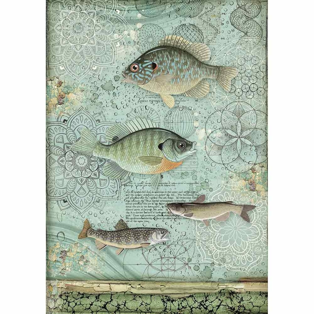 Decoupage-arkki - Stamperia - Fish - Kalkkimaalikauppa.fi