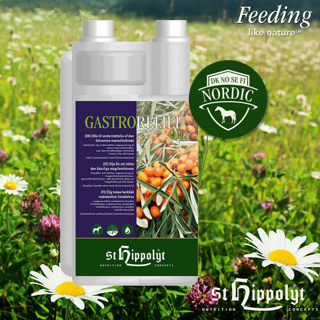 Gastro Relief Oil 1l - Lansarin Tallipuoti