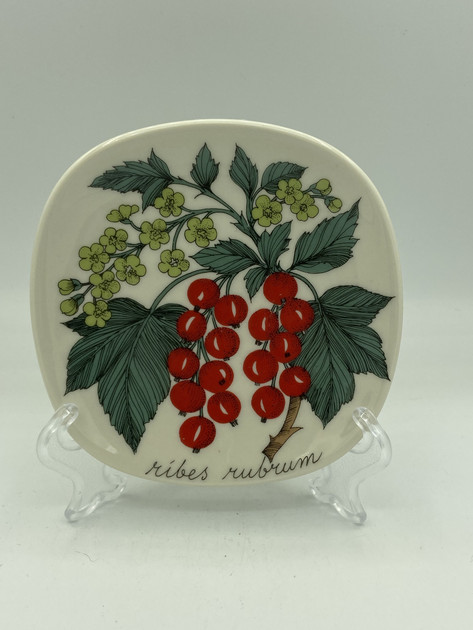 Botanica seinälautanen Punainen viinimarja - Emman Aarrearkku