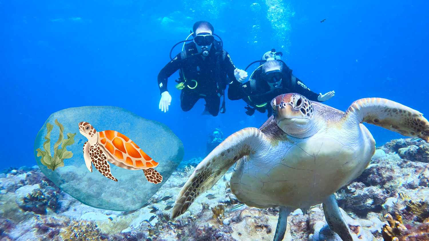 merieläin, merieläinlorut, lorut, varhaiskasvatus,kielen rikas maailma ...